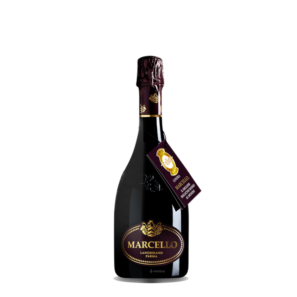 ARIOLA Marcello Lambrusco 375ml – Stone & Vine Co